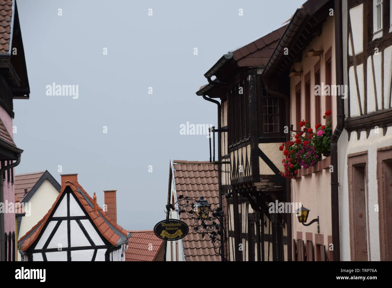 Burg neuleiningen Stockfotos und -bilder Kaufen - Alamy