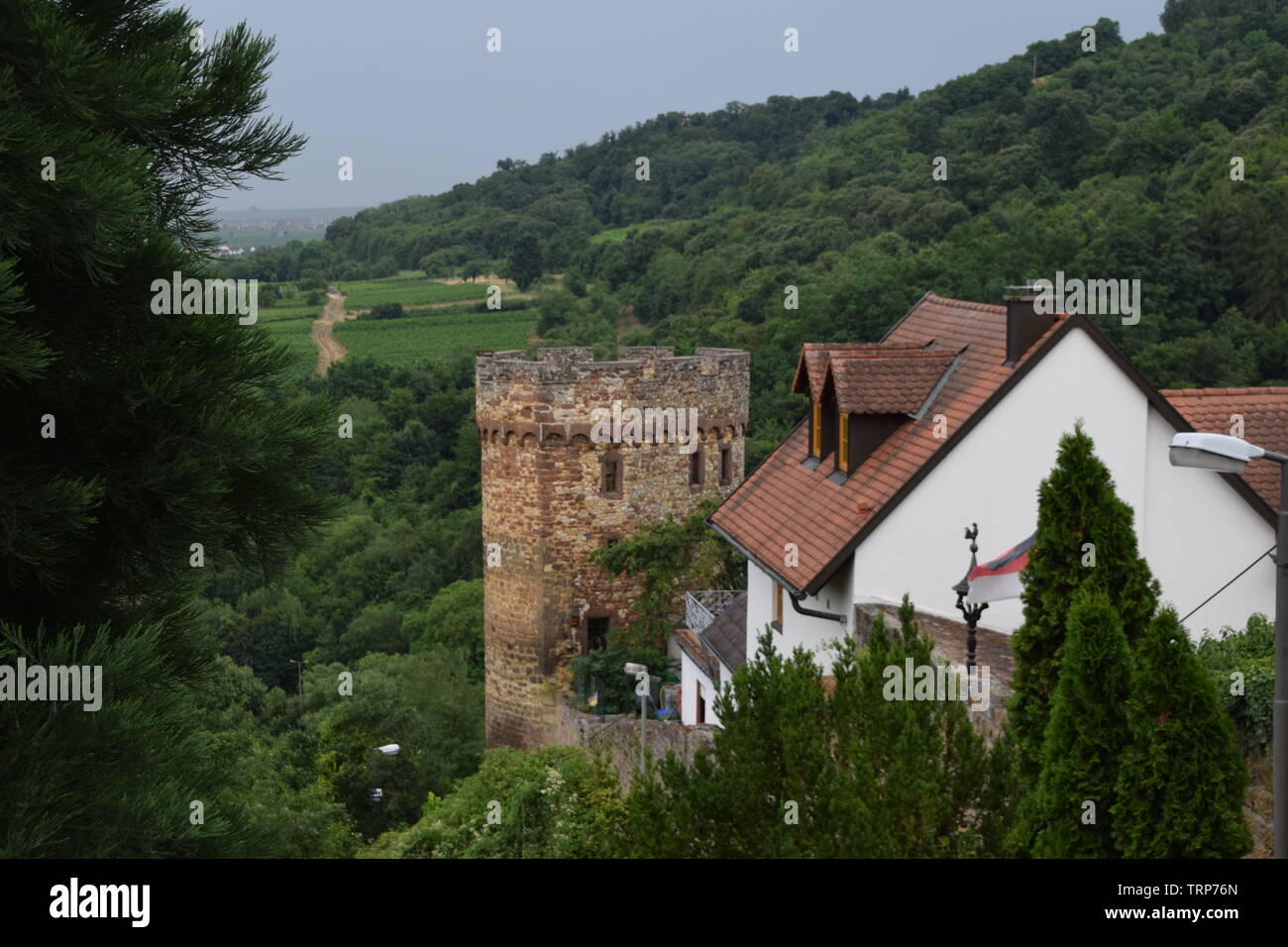 Burg neuleiningen Stockfotos und -bilder Kaufen - Alamy