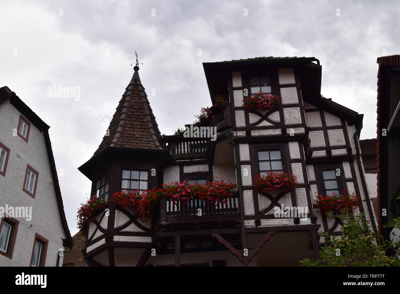 Burg neuleiningen Stockfotos und -bilder Kaufen - Alamy