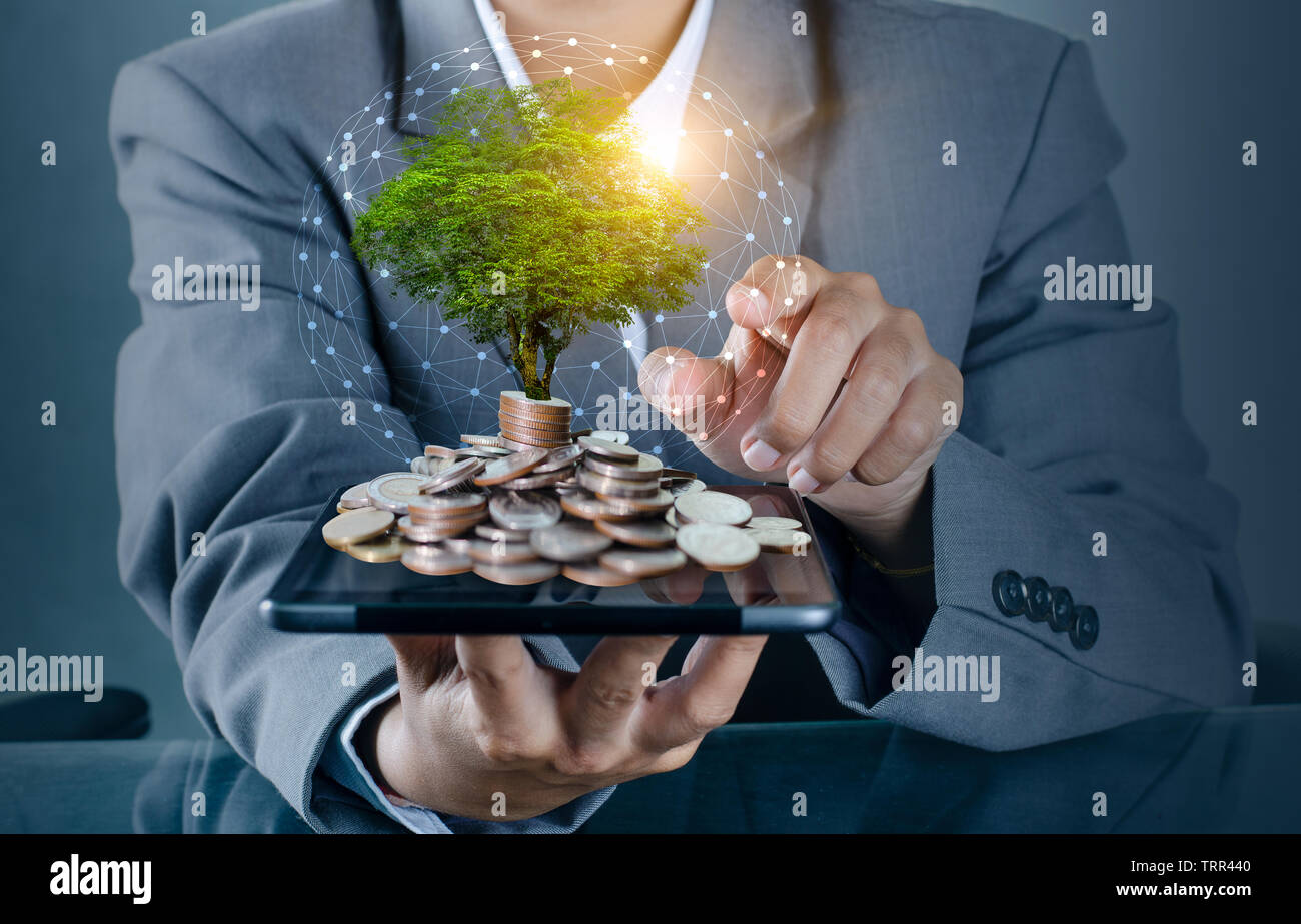 Münzen baum -Fotos und -Bildmaterial in hoher Auflösung – Alamy