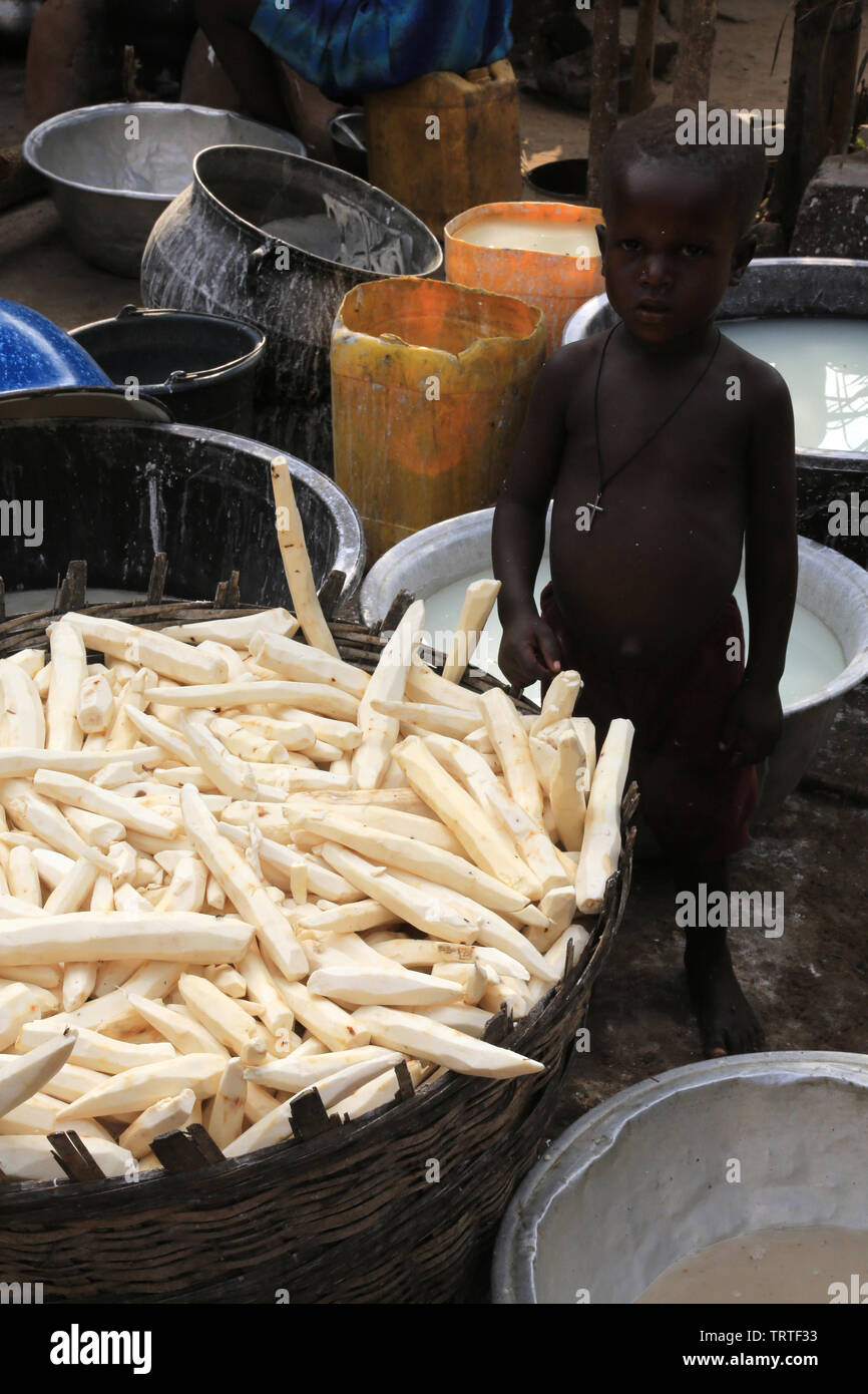 Maniok -Fotos und -Bildmaterial in hoher Auflösung – Alamy