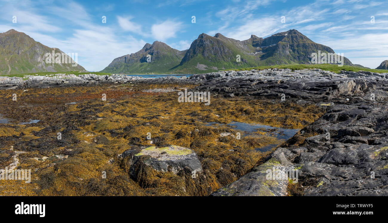 Am strand von flakstad -Fotos und -Bildmaterial in hoher Auflösung – Alamy
