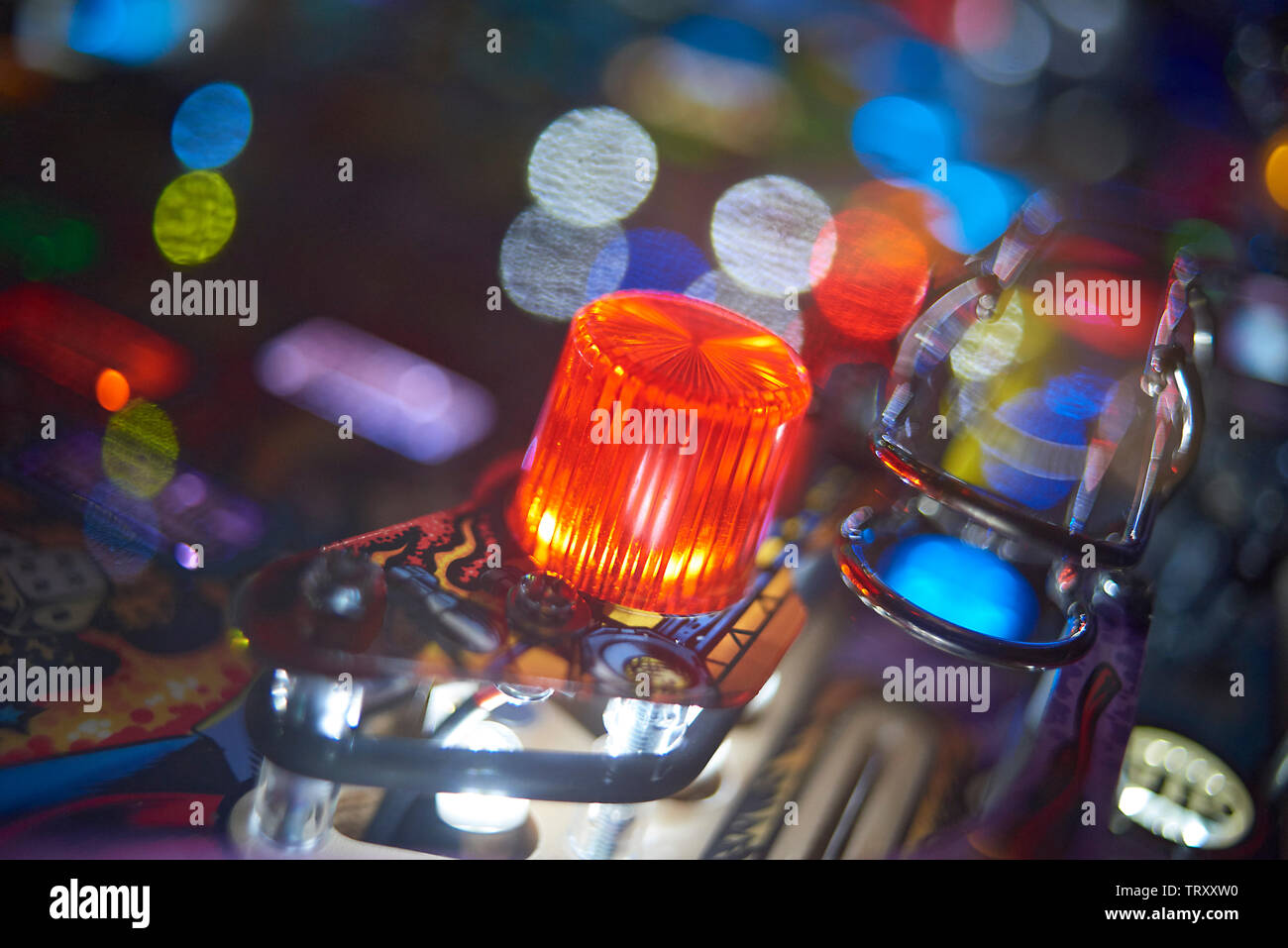 Flipper tags -Fotos und -Bildmaterial in hoher Auflösung – Alamy