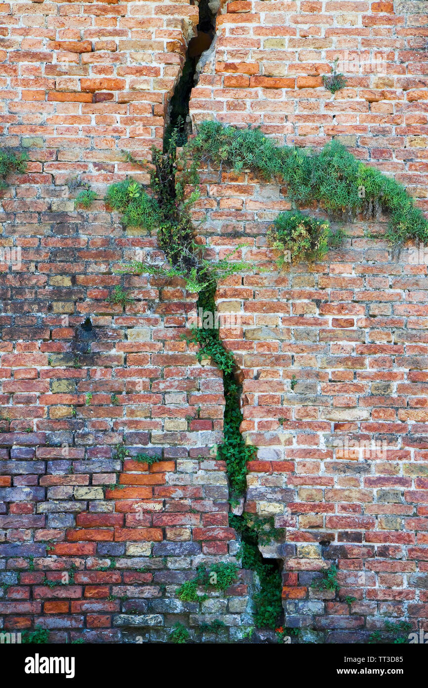 Risse im Mauerwerk - tiefen Riss in einer Wand Stockfotografie - Alamy