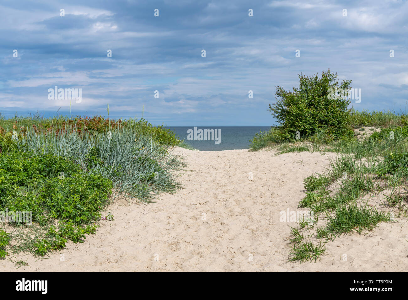 Meer, Strand und Dünen in Zoppot bei Danzig in Polen Stockfotografie ...