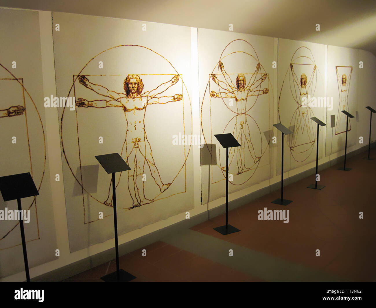 Leonardo Da Vinci Vitruvianischer Mann Hochauflösend