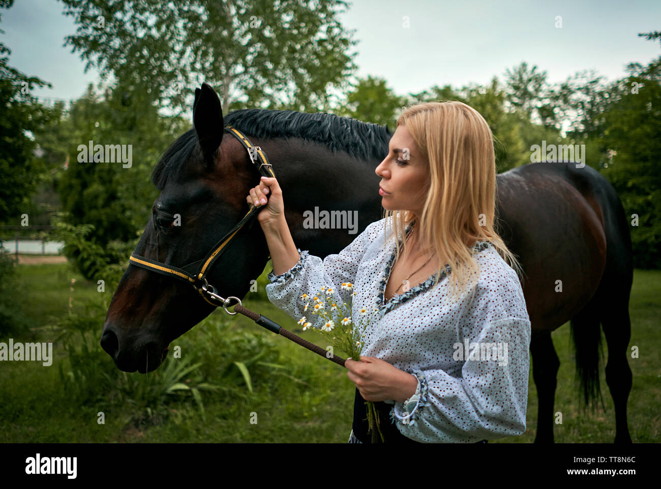 Mädchen mit einem pferd auf dem feld -Fotos und -Bildmaterial in hoher ...