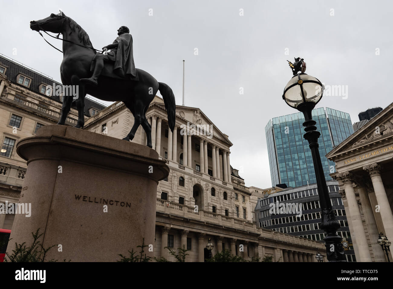 Pferd wellington -Fotos und -Bildmaterial in hoher Auflösung – Alamy