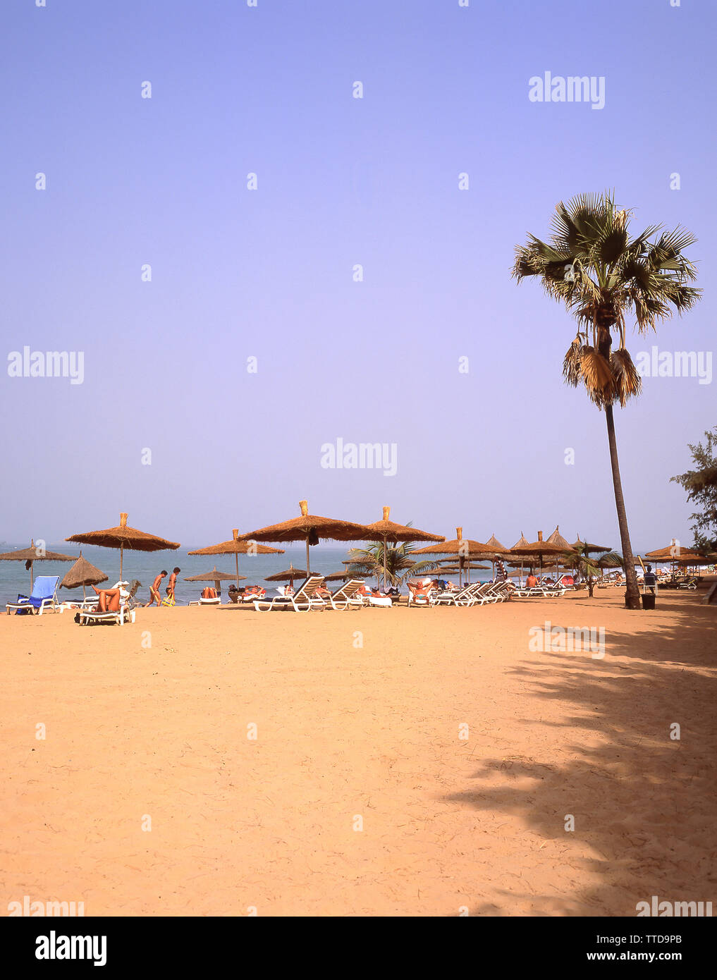 Serrekunda gambia -Fotos und -Bildmaterial in hoher Auflösung – Alamy