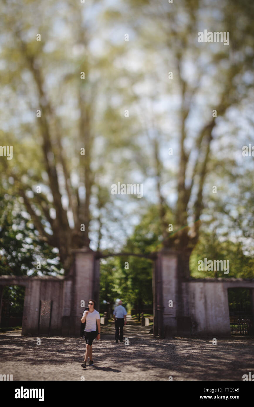 Archway of trees -Fotos und -Bildmaterial in hoher Auflösung – Alamy