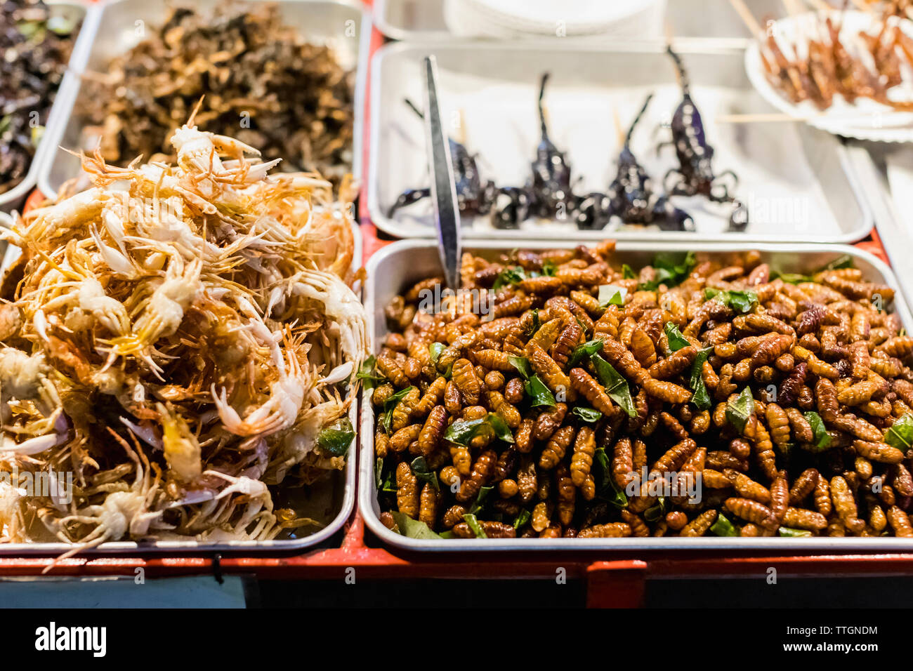 Thailand insect market -Fotos und -Bildmaterial in hoher Auflösung – Alamy