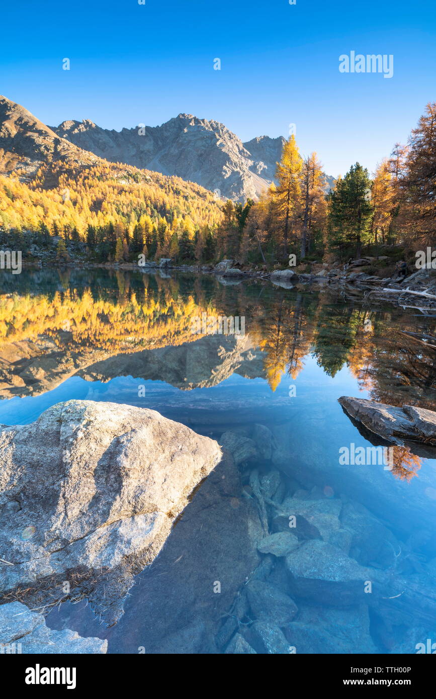 Autumn at the lago di saoseo -Fotos und -Bildmaterial in hoher ...