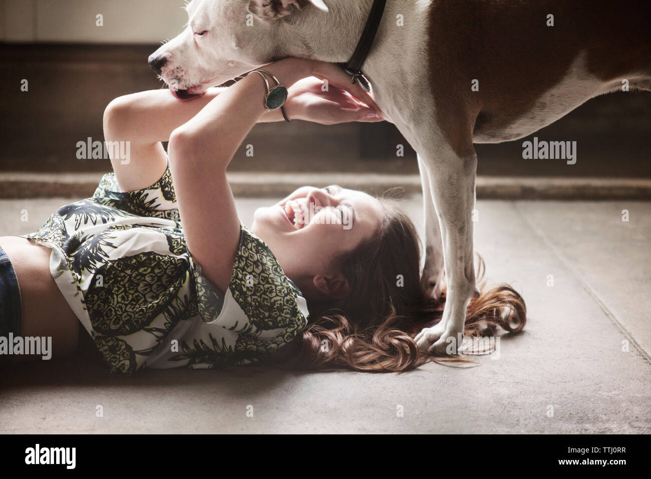 Hund leckt frau -Fotos und -Bildmaterial in hoher Auflösung – Alamy