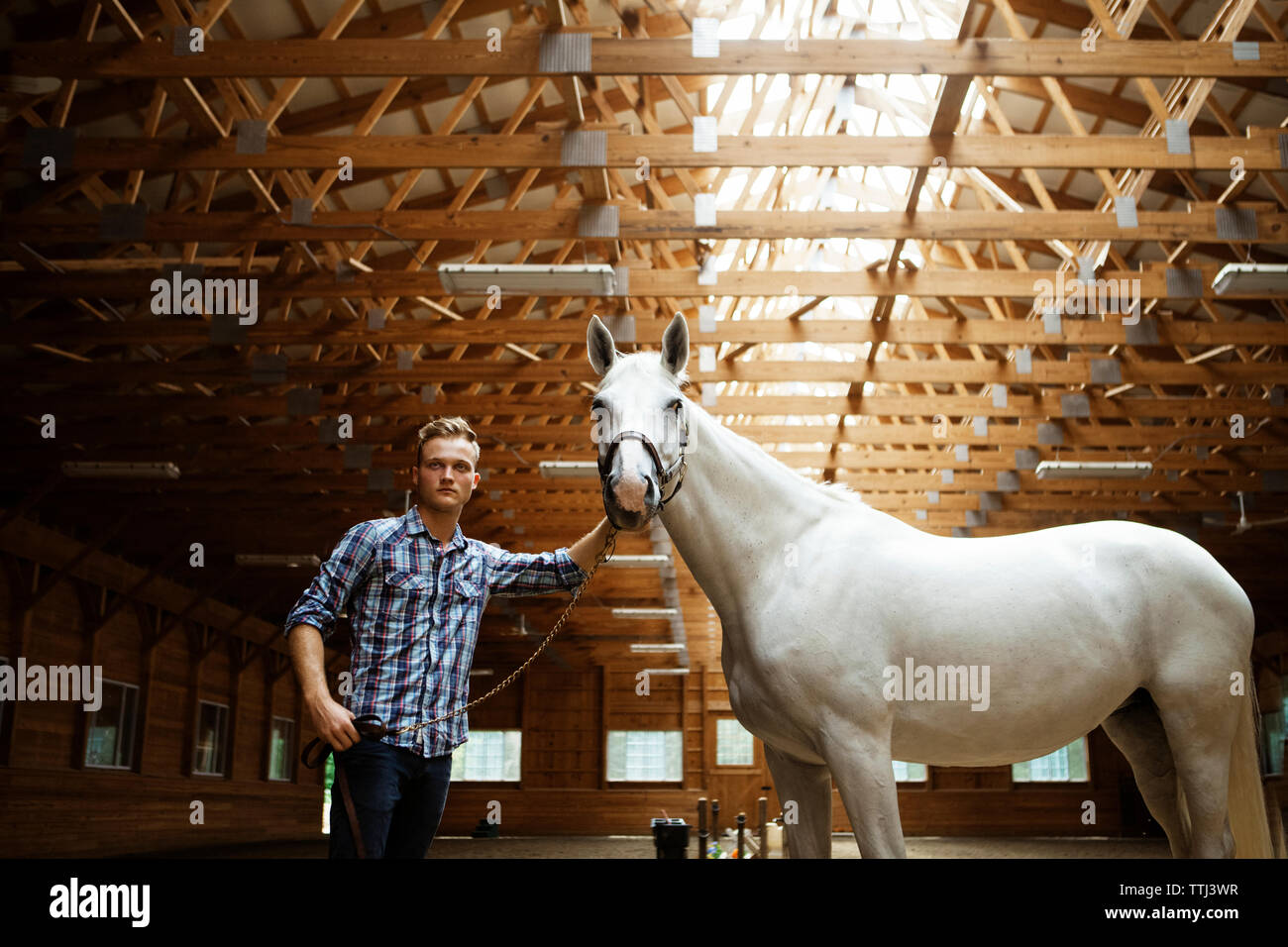 Stabiles tier -Fotos und -Bildmaterial in hoher Auflösung – Alamy