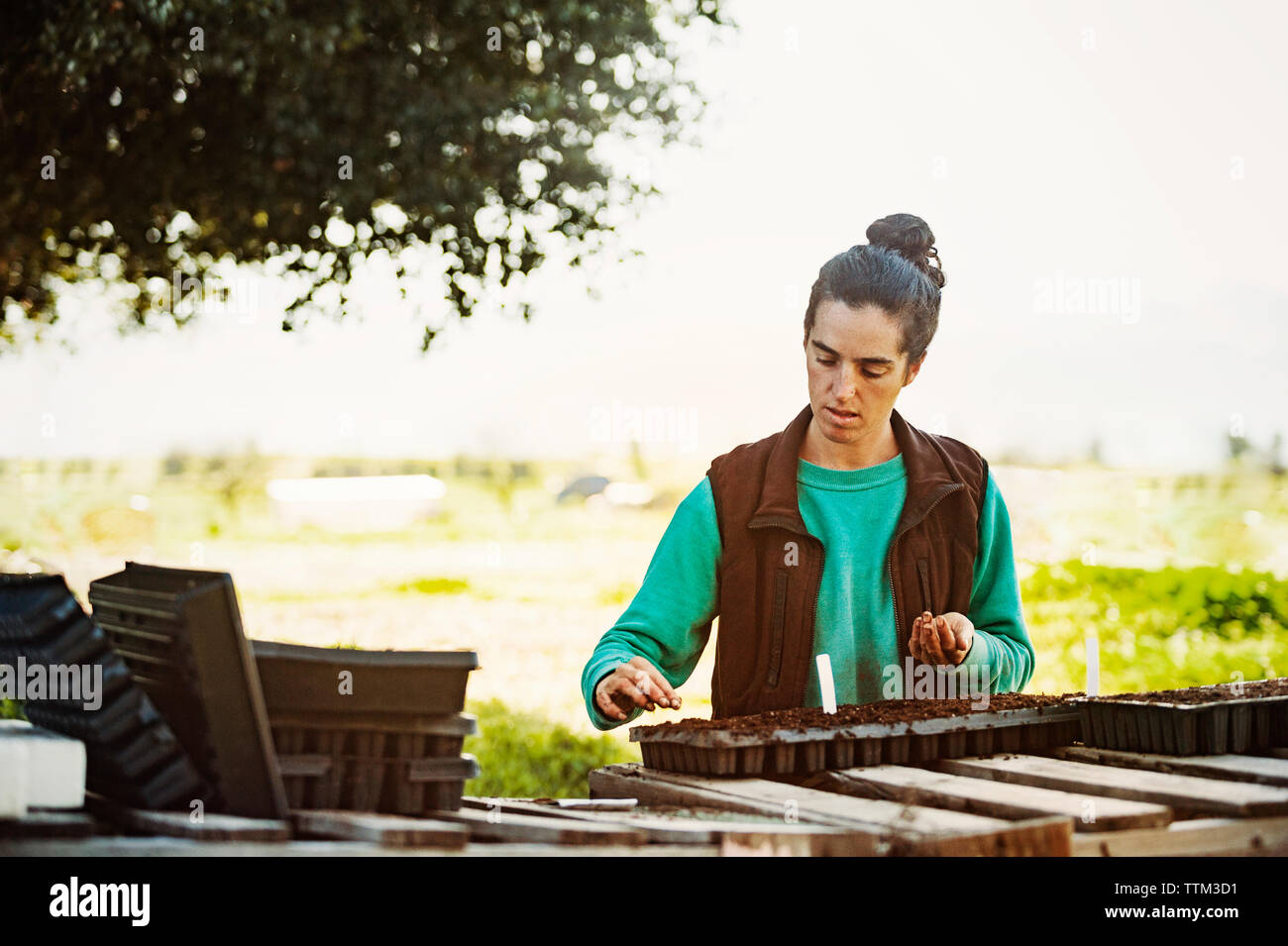 Eine samenfarm -Fotos und -Bildmaterial in hoher Auflösung – Alamy