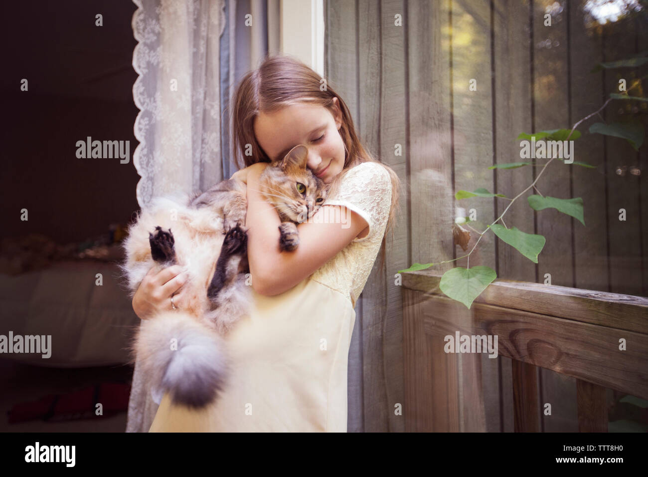 Mädchen mit katze -Fotos und -Bildmaterial in hoher Auflösung – Alamy