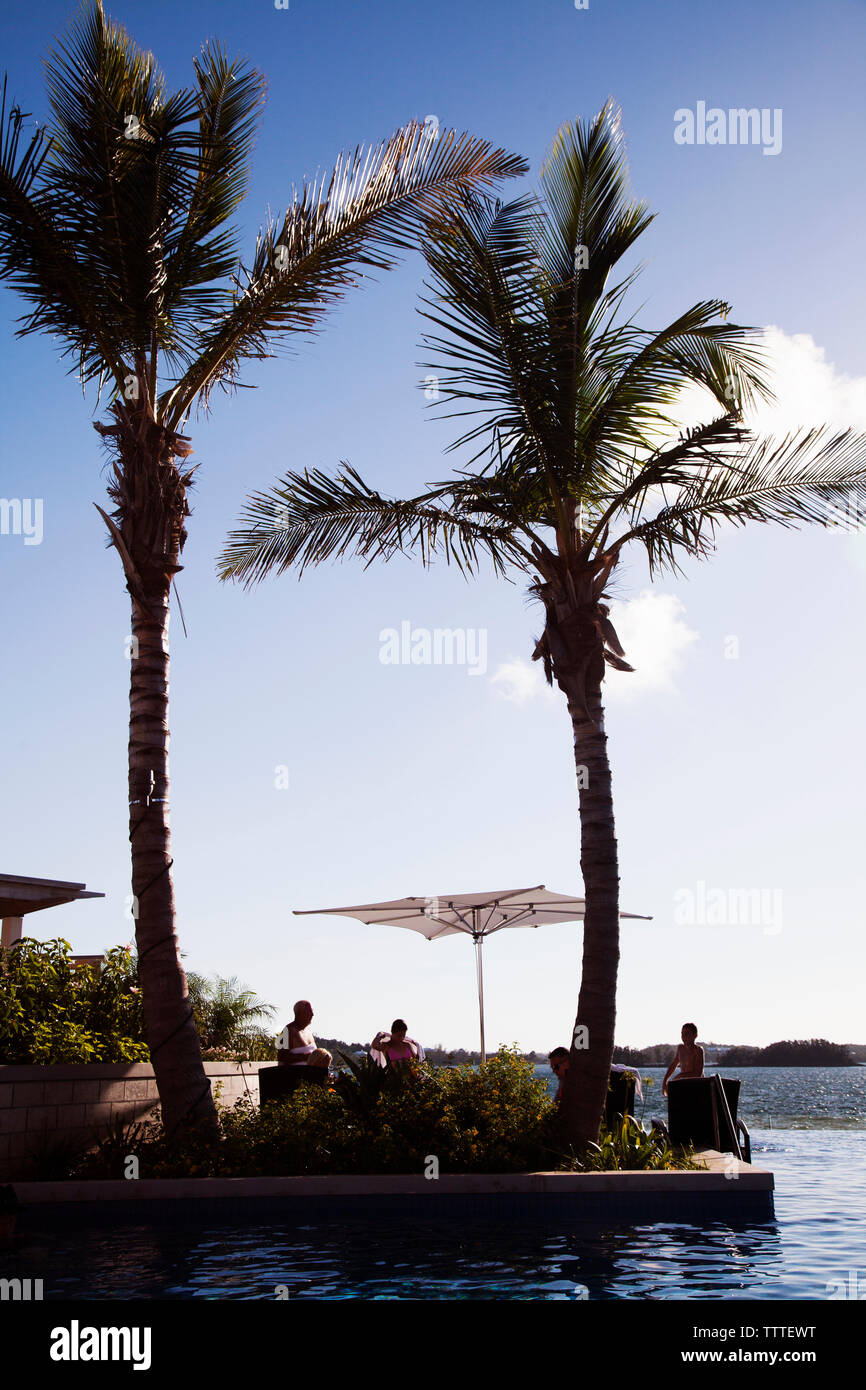 BERMUDA. Der Infinity Pool an der Hamilton Princess & Beach Club Hotel ...