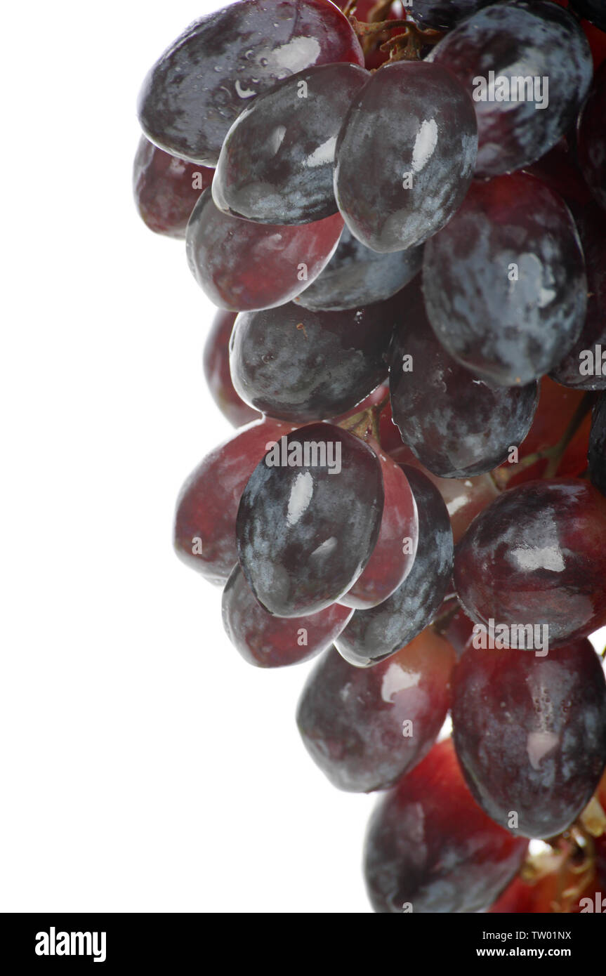 Rote weintrauben -Fotos und -Bildmaterial in hoher Auflösung – Alamy