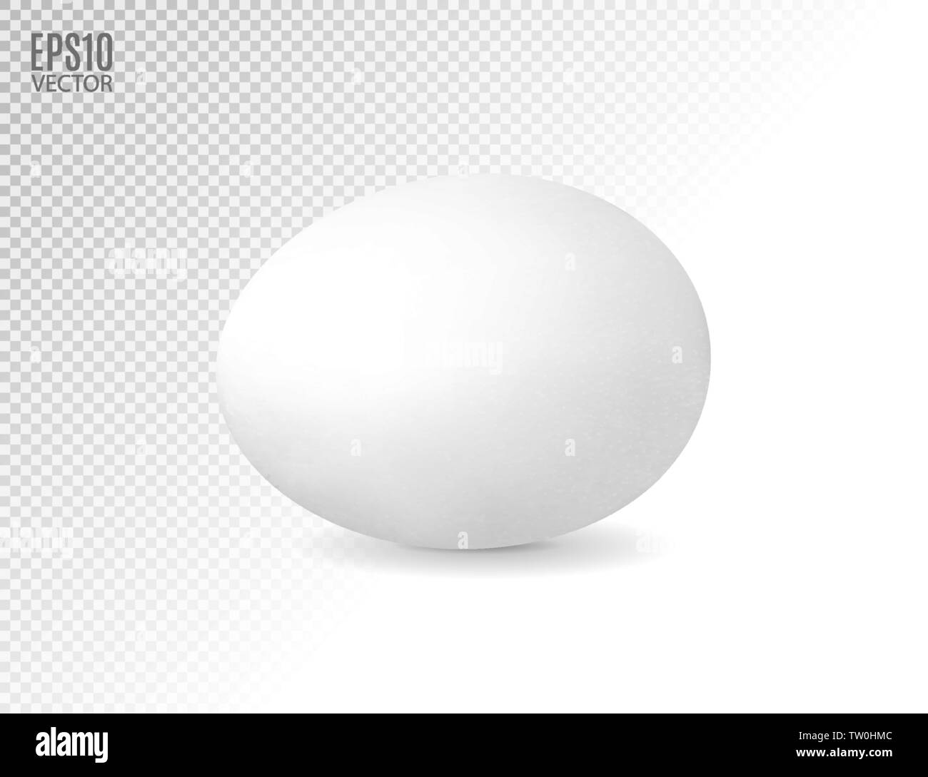 Realistische ei Symbol, auf transparentem Hintergrund isoliert. Vector ...