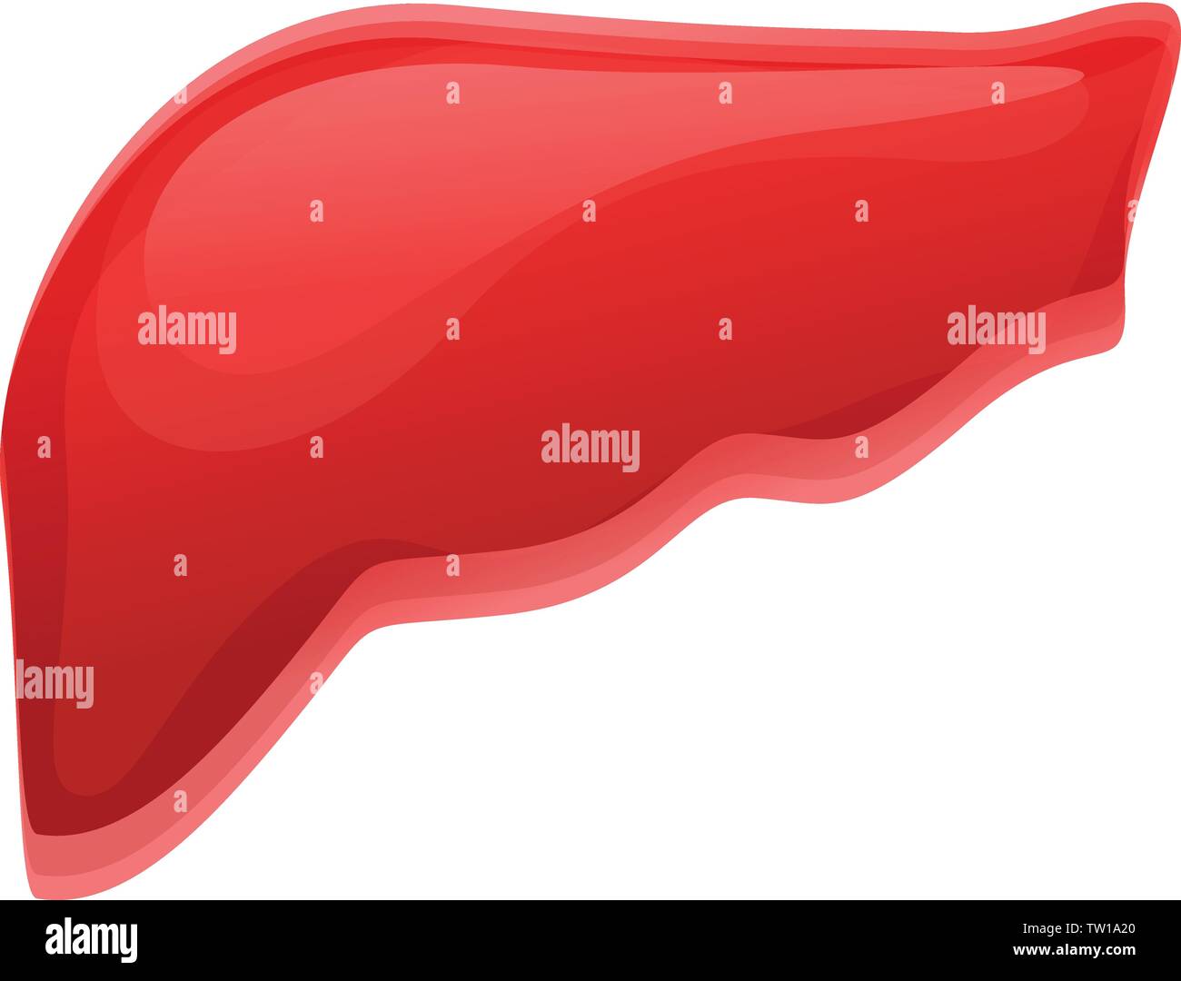 Symbol der menschlichen Leber. Cartoon der menschlichen Leber vektor ...