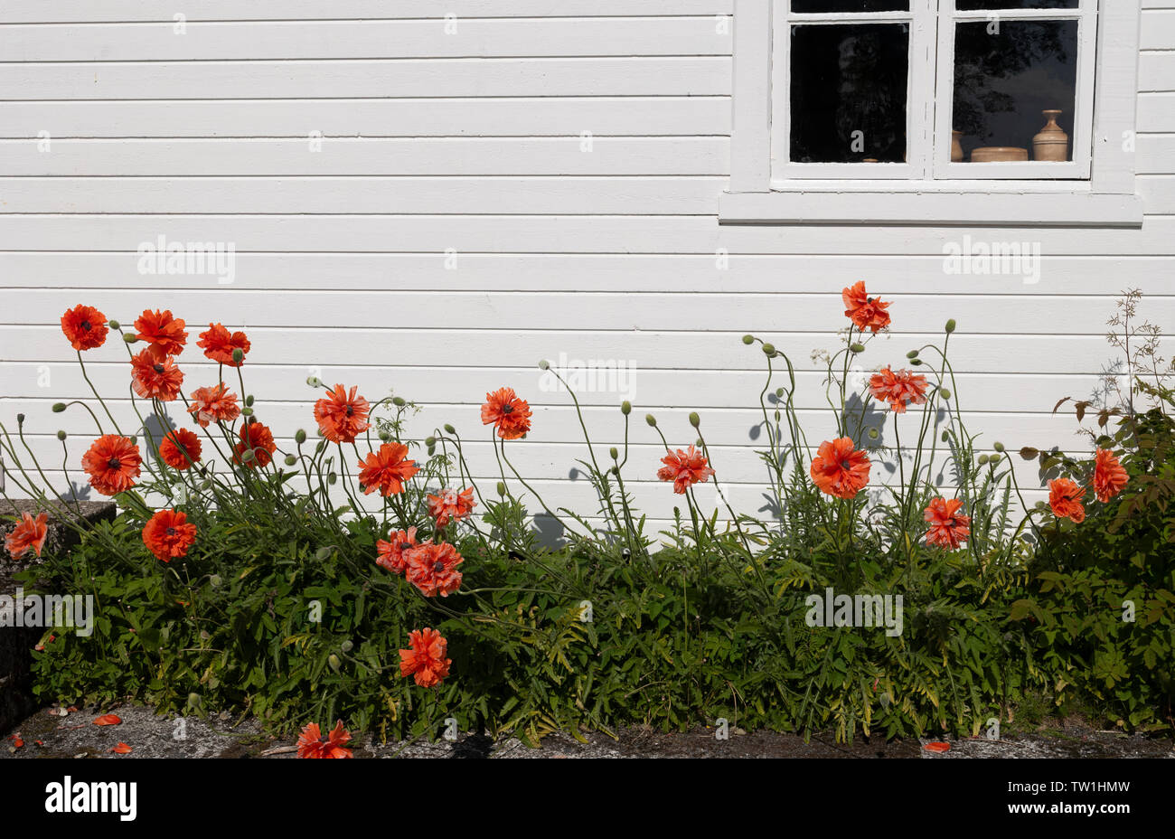 Das bo museum in bo -Fotos und -Bildmaterial in hoher Auflösung – Alamy