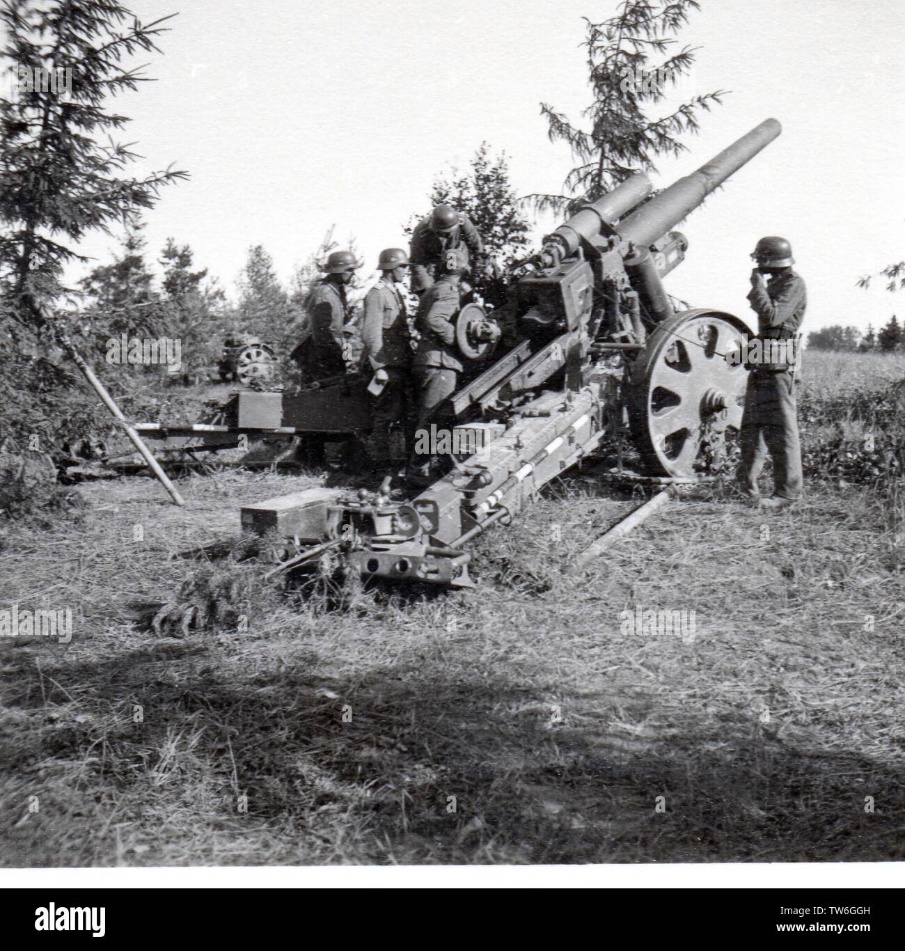 Waffen ss polizei division -Fotos und -Bildmaterial in hoher Auflösung ...