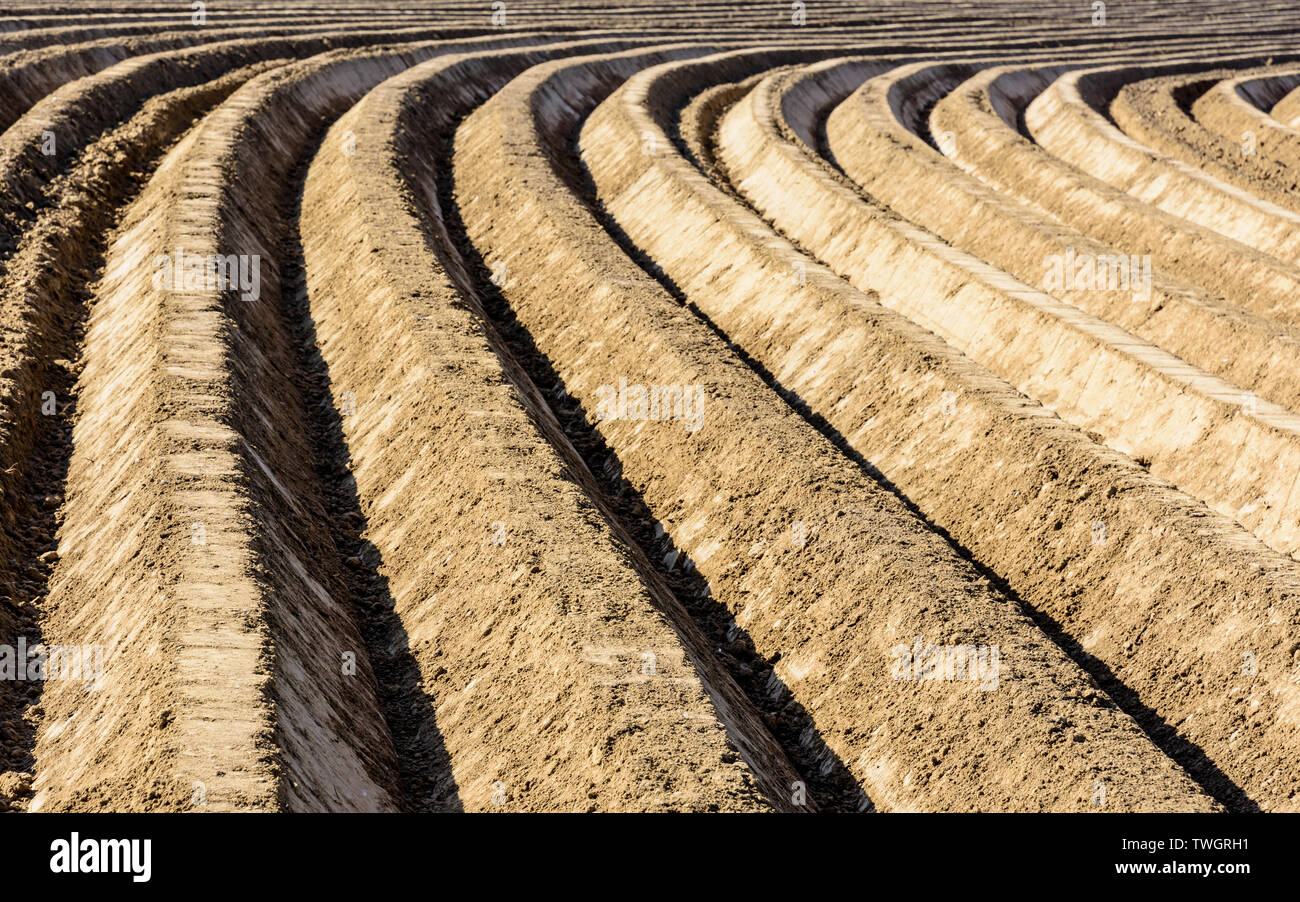 Parallele furchen -Fotos und -Bildmaterial in hoher Auflösung – Alamy