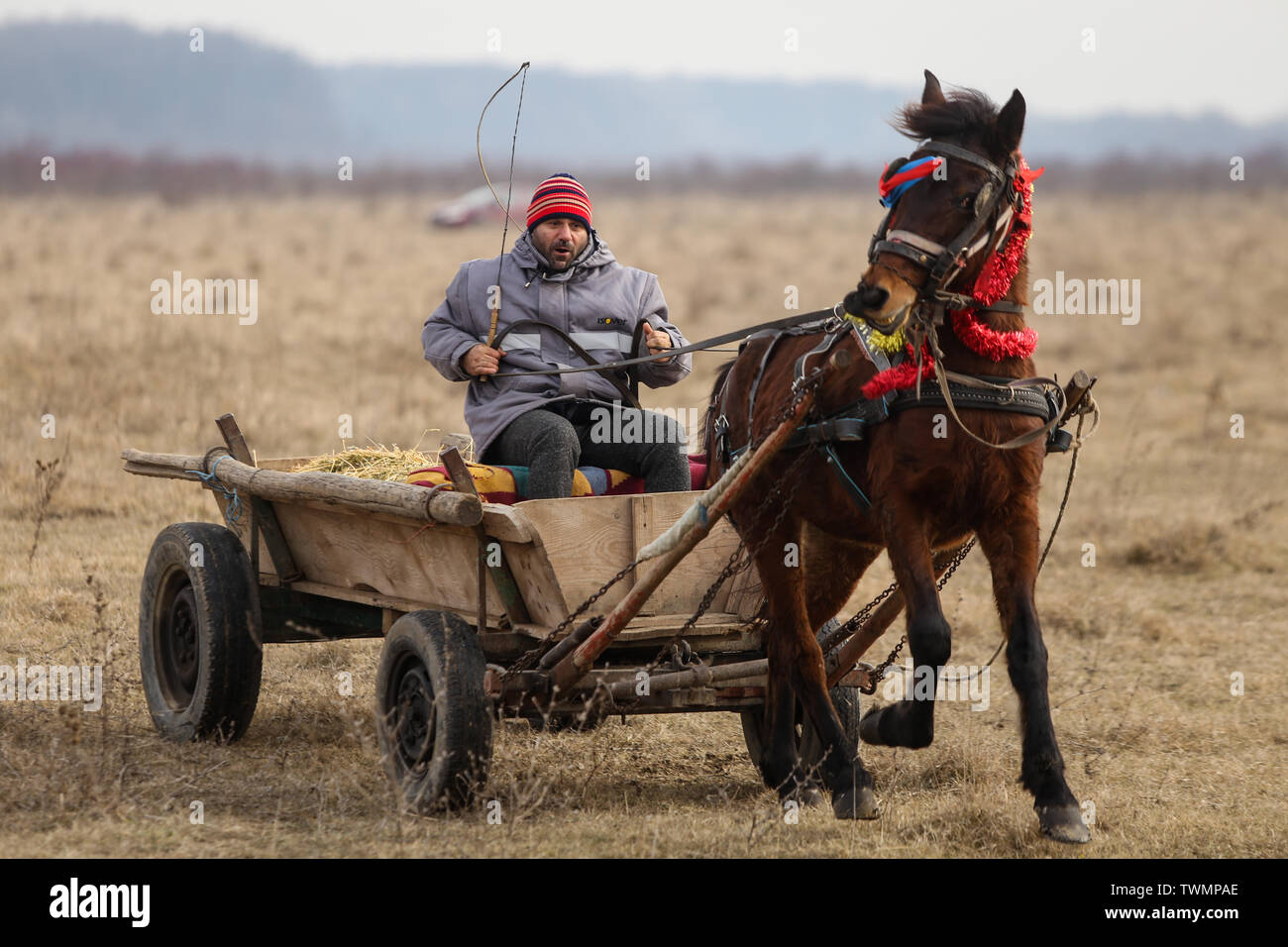 Pietrosani romania -Fotos und -Bildmaterial in hoher Auflösung – Alamy