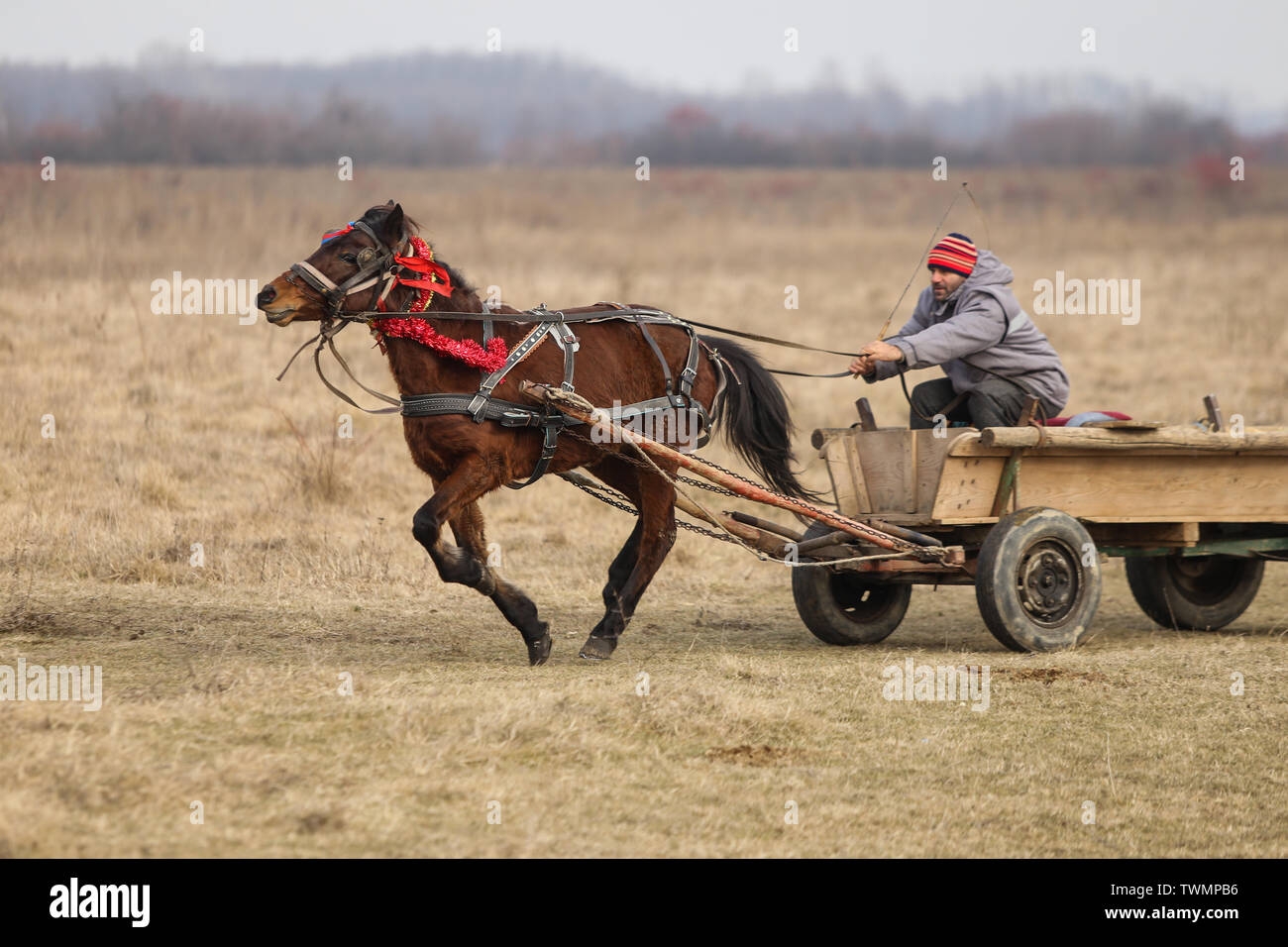 Pietrosani romania -Fotos und -Bildmaterial in hoher Auflösung – Alamy