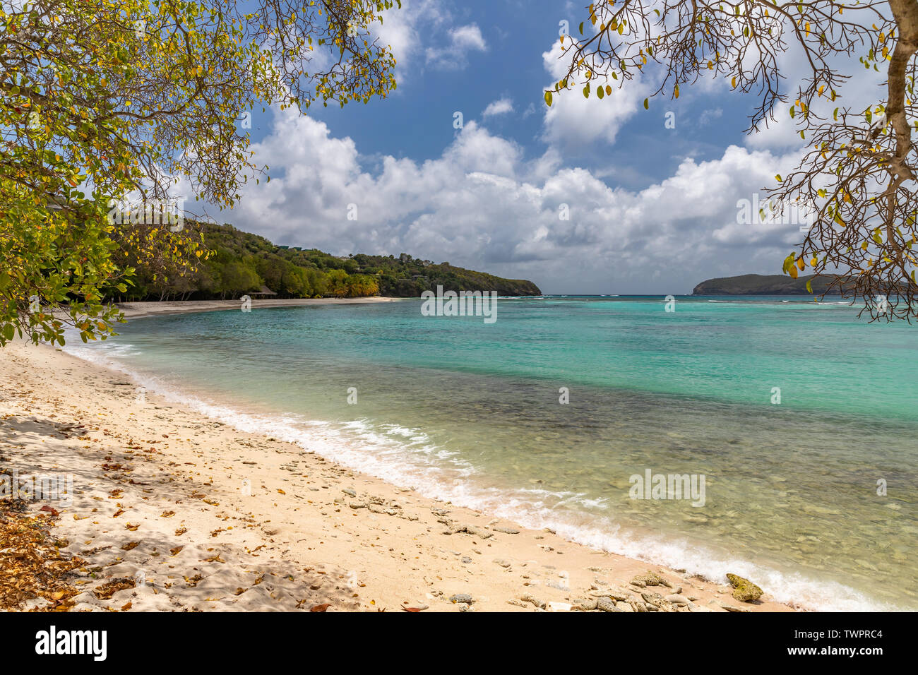 Britannia bay mustique -Fotos und -Bildmaterial in hoher Auflösung – Alamy