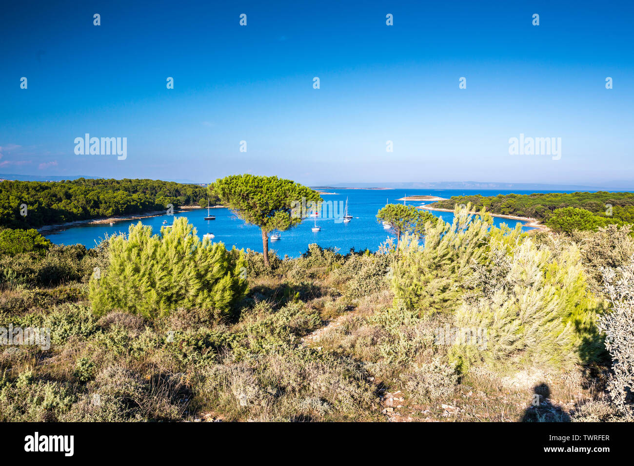 Cape kamenjak -Fotos und -Bildmaterial in hoher Auflösung – Alamy