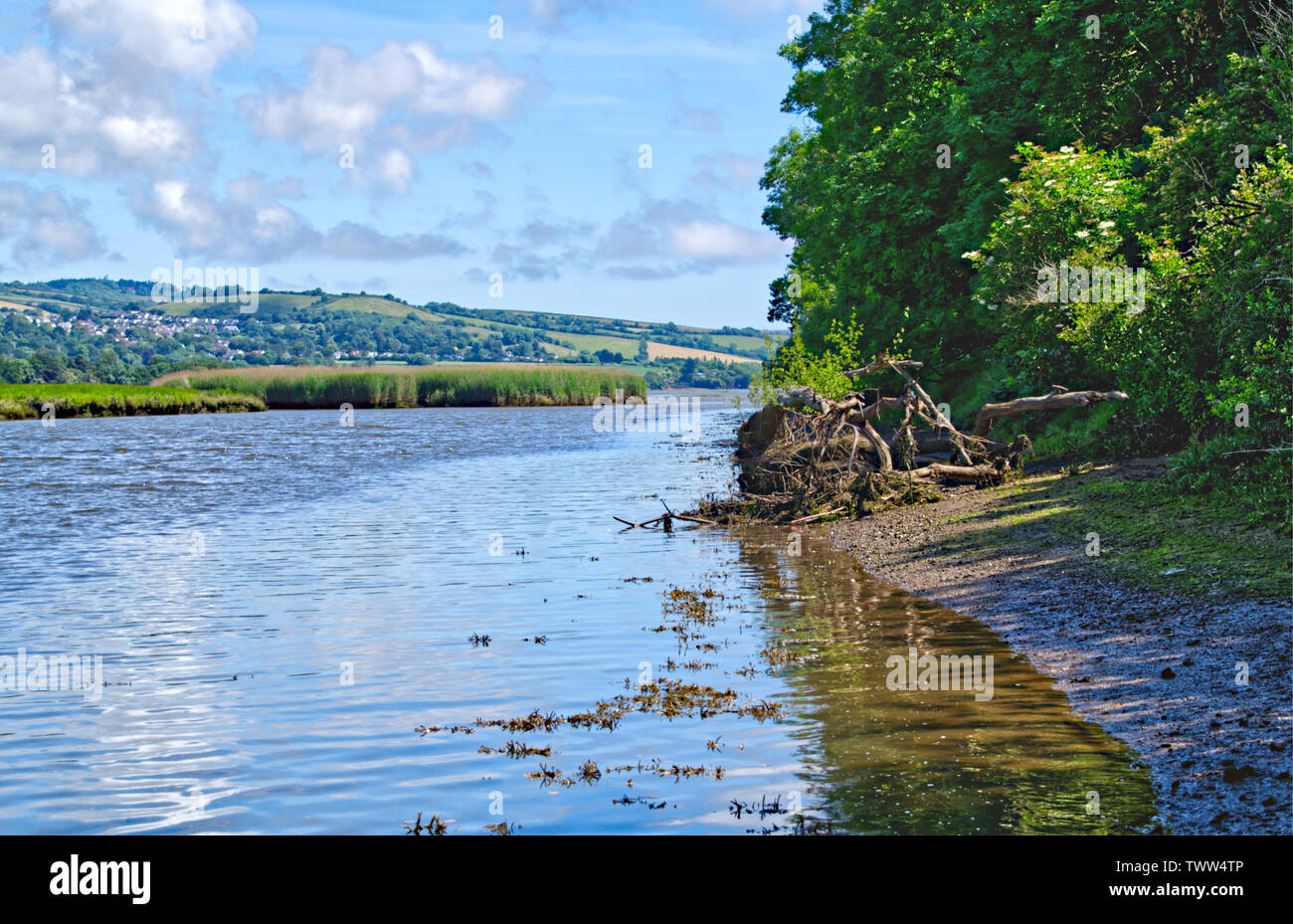 Teign valley wald -Fotos und -Bildmaterial in hoher Auflösung – Alamy
