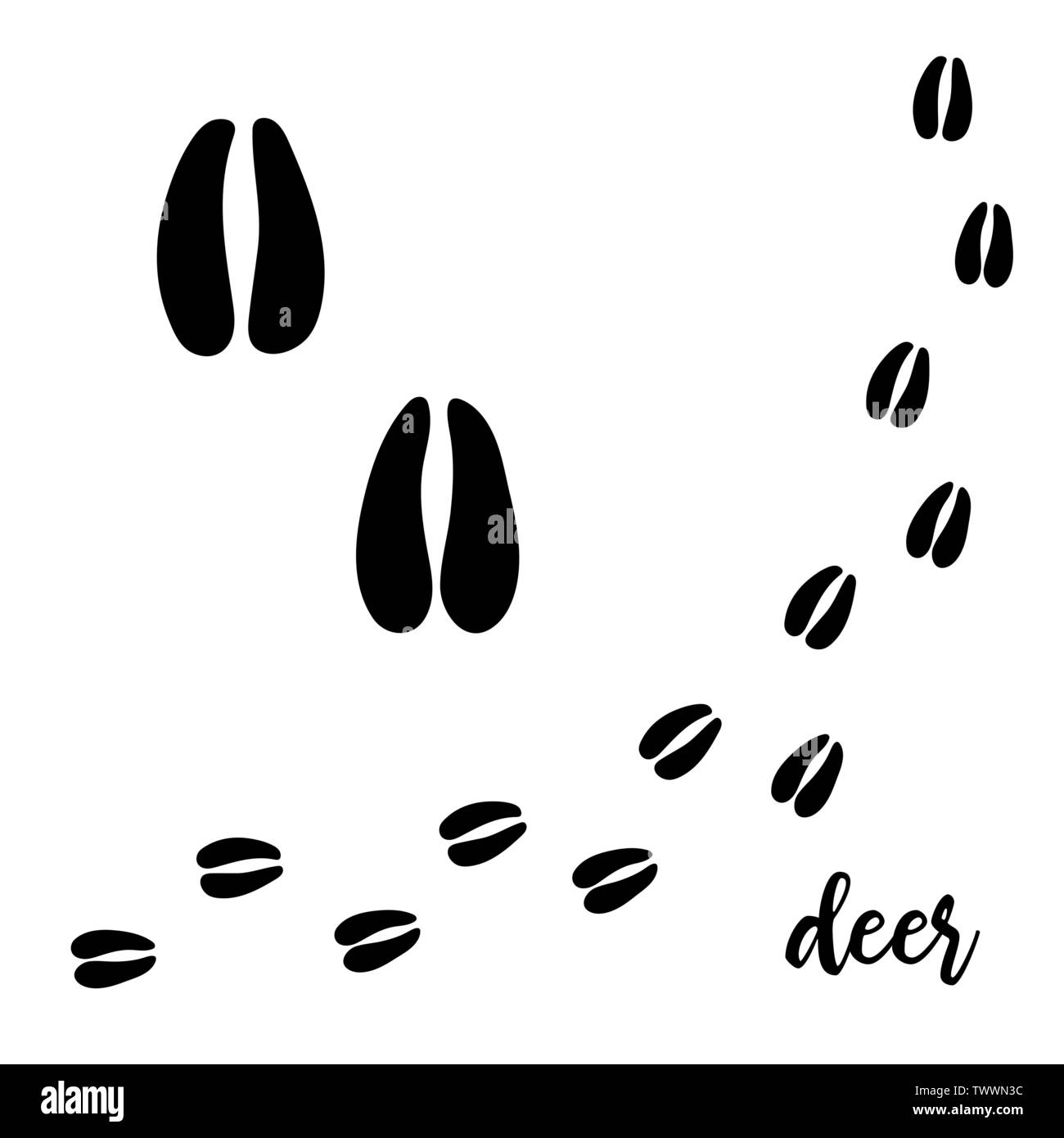 Hirsch Hufe Vektor Fußwege. Fußabdrücke von Wildbock. Gämsen, Ziege ...