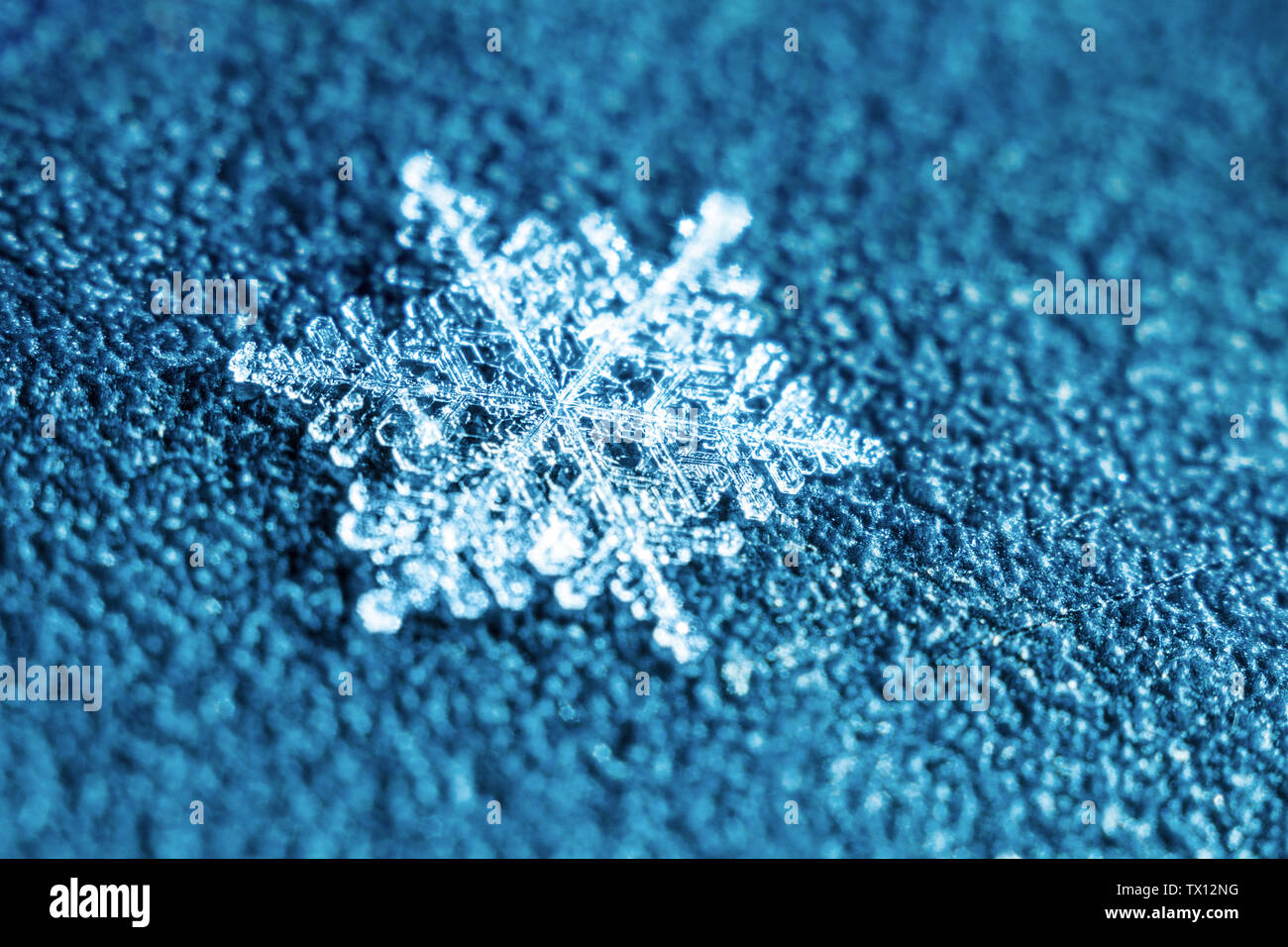 Snowflake macro crystal -Fotos und -Bildmaterial in hoher Auflösung – Alamy