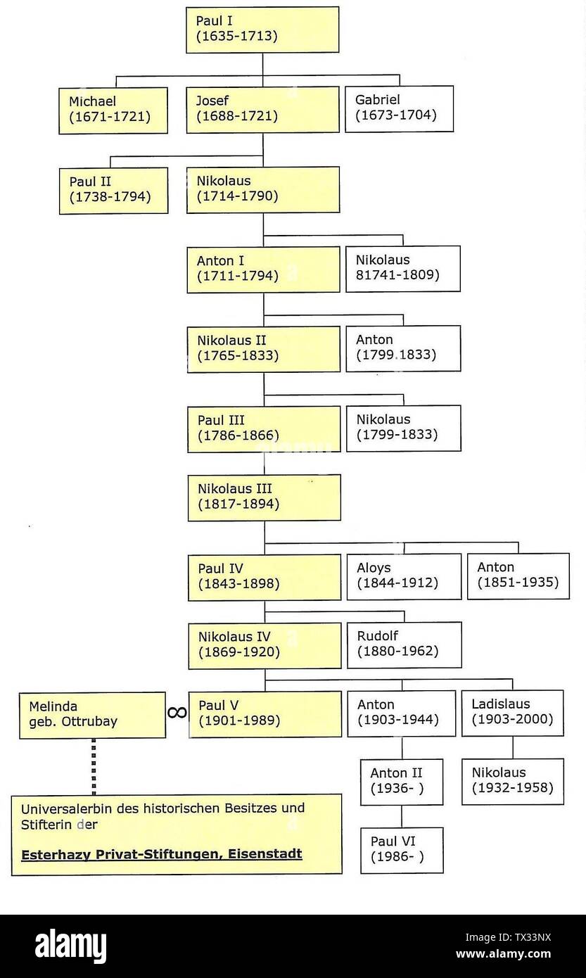 Der stammbaum -Fotos und -Bildmaterial in hoher Auflösung – Alamy
