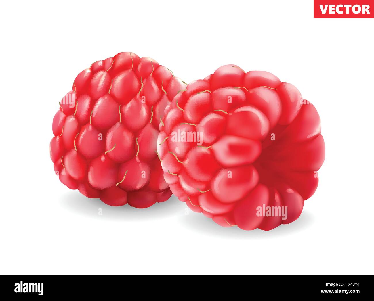 Himbeer foto Stock-Vektorgrafiken kaufen - Seite 2 - Alamy