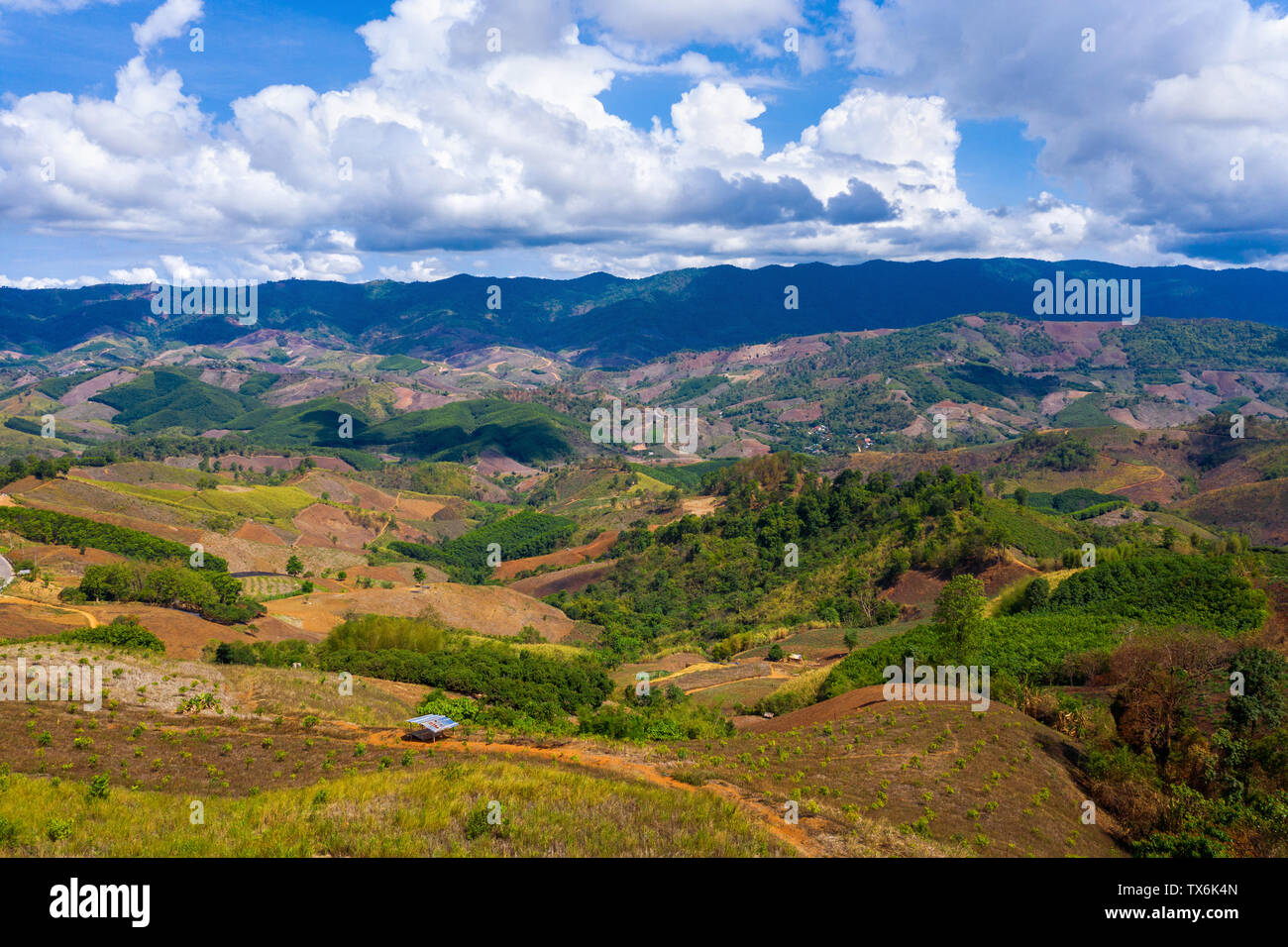 Shifting cultivation aerial -Fotos und -Bildmaterial in hoher Auflösung ...