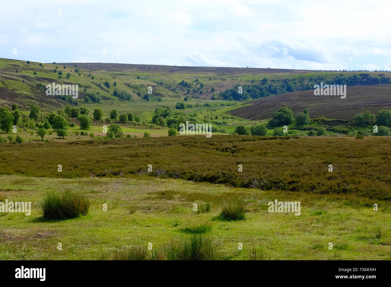 Yorkshire moor radar -Fotos und -Bildmaterial in hoher Auflösung – Alamy