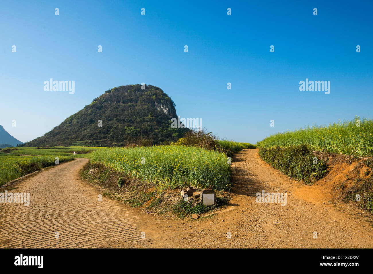 Getrennte felder -Fotos und -Bildmaterial in hoher Auflösung – Alamy