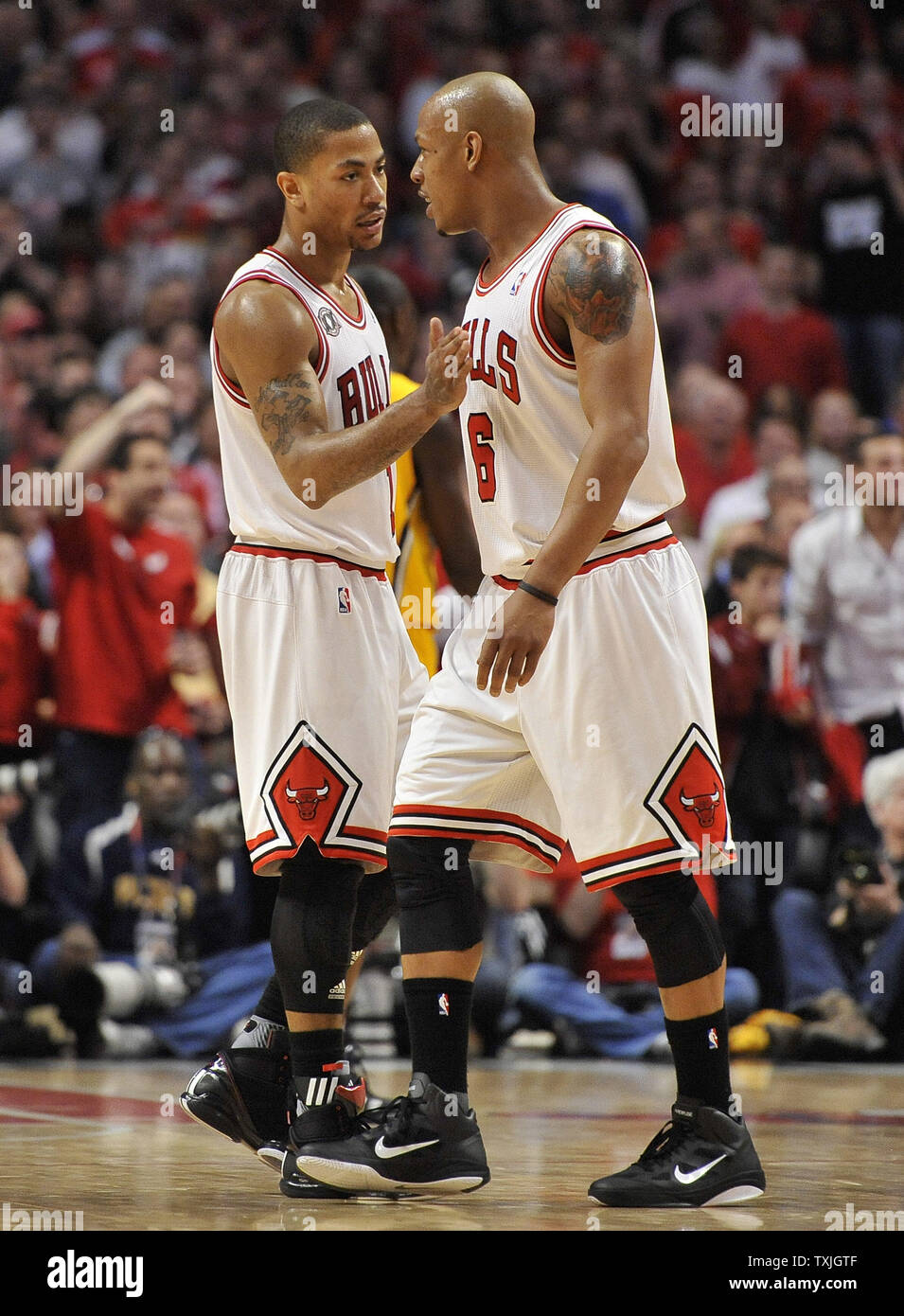 Chicago Bulls guard Derrick Rose (L) klatscht Zentrum Keith Bogans auf ...