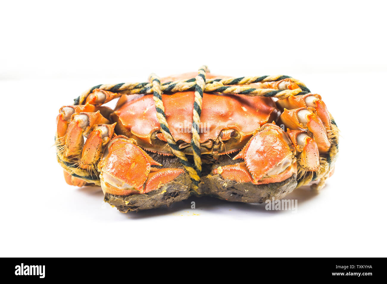 Fisch und krabben Ausgeschnittene Stockfotos und -bilder - Alamy