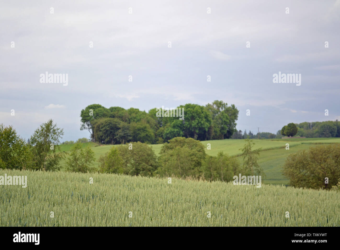 Campos De Batalha Da Primeira Guerra Mundial Stockfotos und -bilder ...