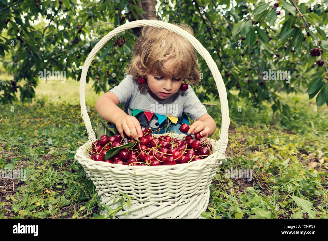 Junge mit einem obstkorb -Fotos und -Bildmaterial in hoher Auflösung ...