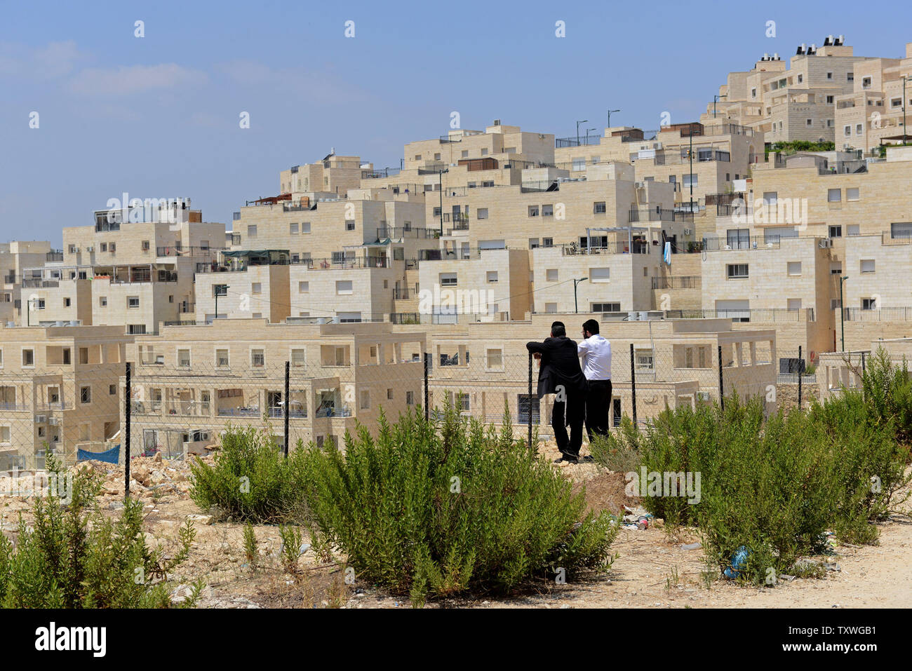Stipendien vergeben -Fotos und -Bildmaterial in hoher Auflösung – Alamy