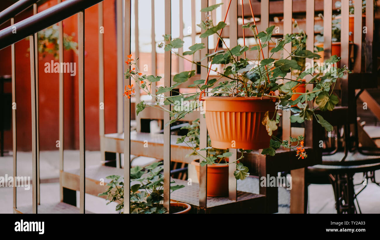 Toskana innenhof treppe pflanze -Fotos und -Bildmaterial in hoher ...