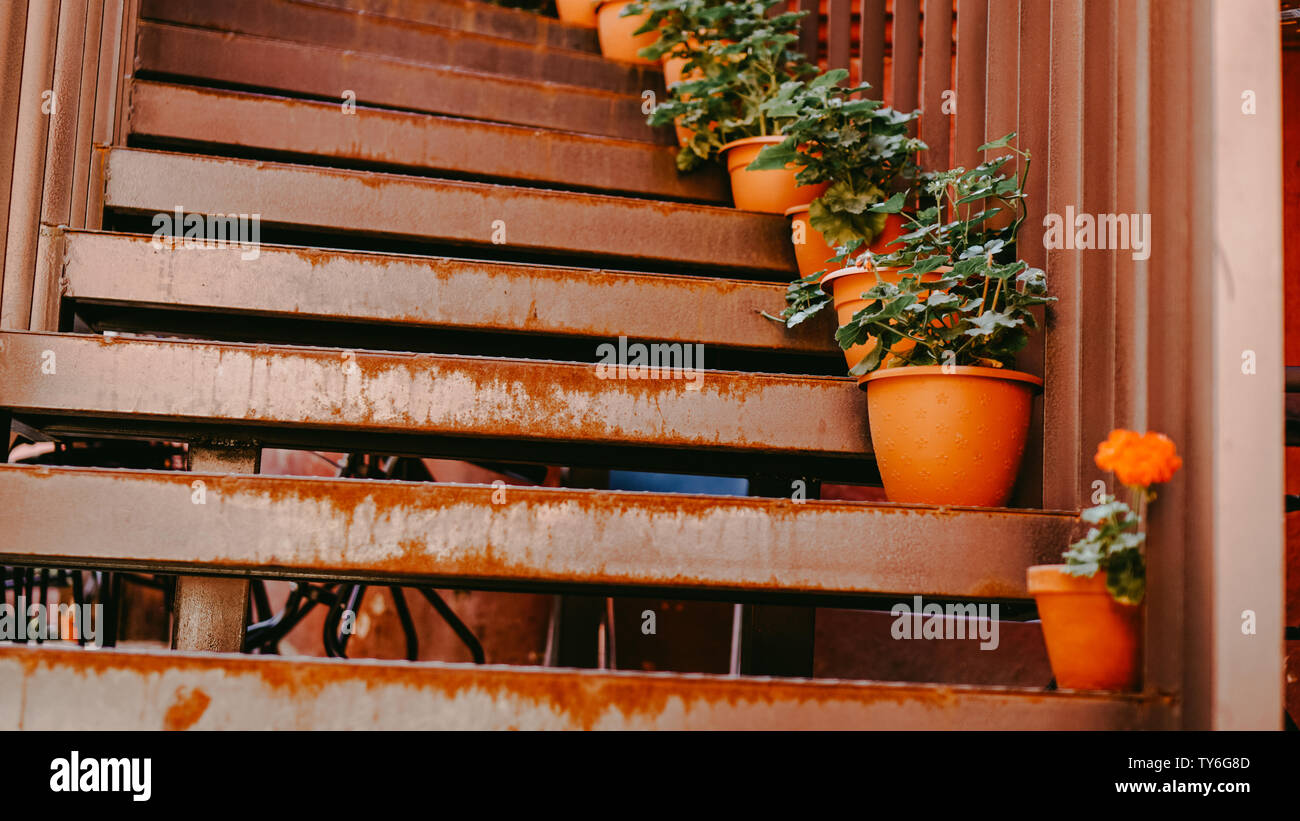 Toskana innenhof treppe pflanze -Fotos und -Bildmaterial in hoher ...