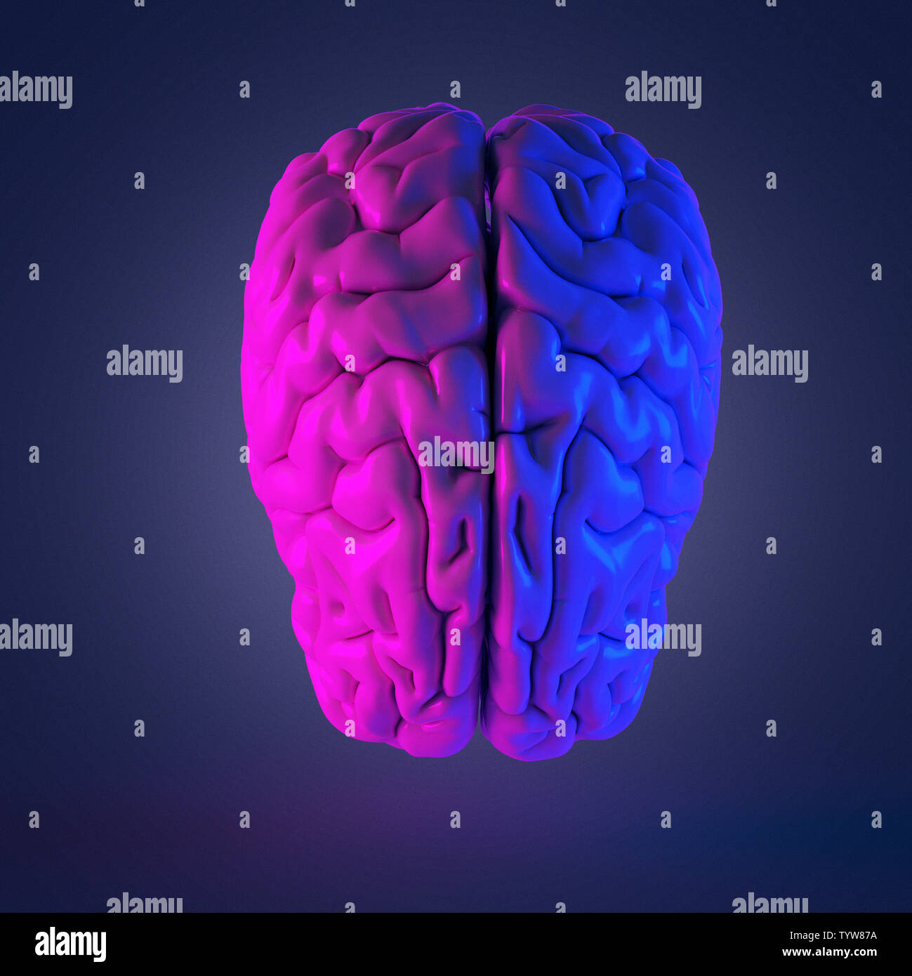 Motorischer Cortex Stockfotos und -bilder Kaufen - Alamy