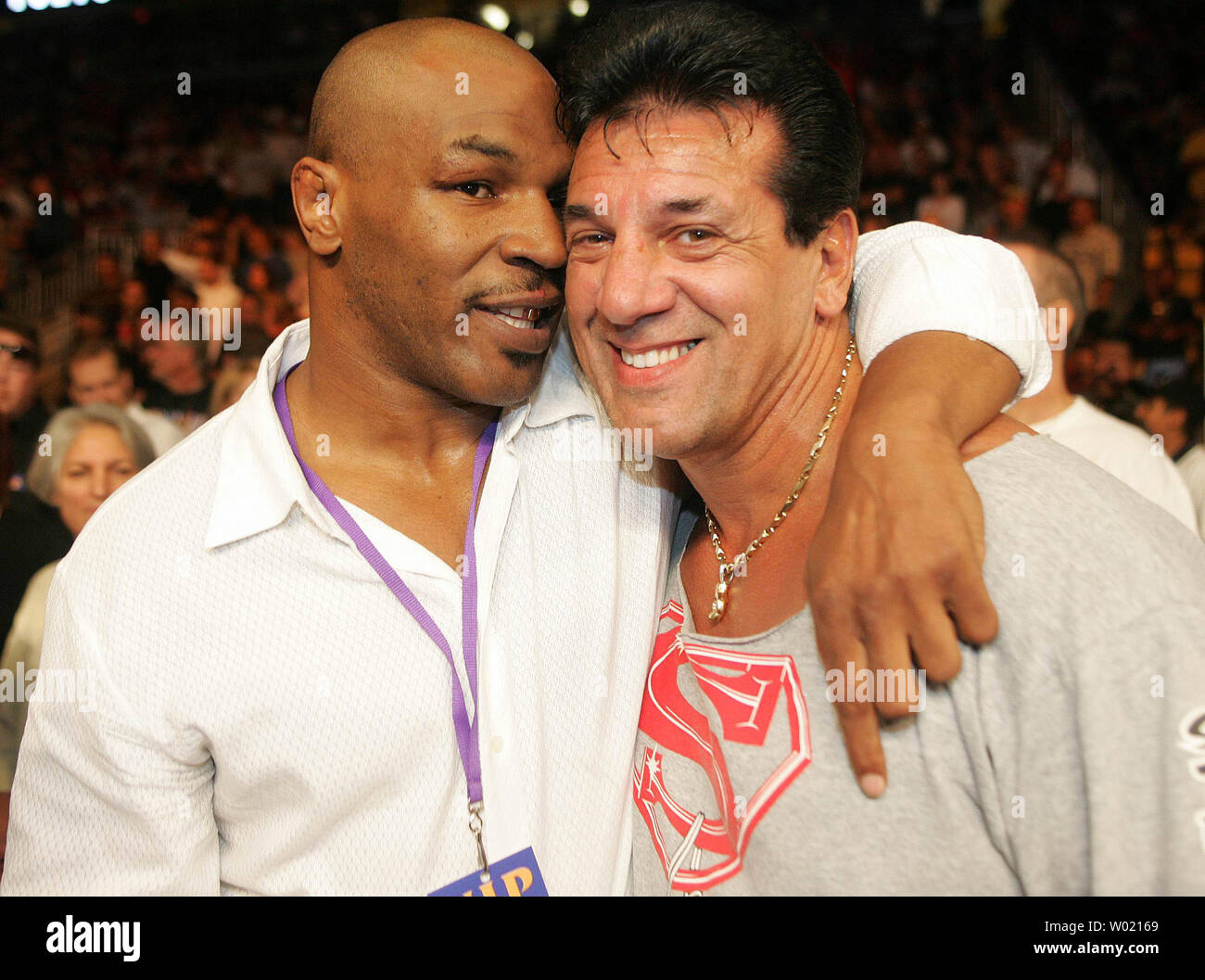 Kostya tszyu -Fotos und -Bildmaterial in hoher Auflösung – Alamy