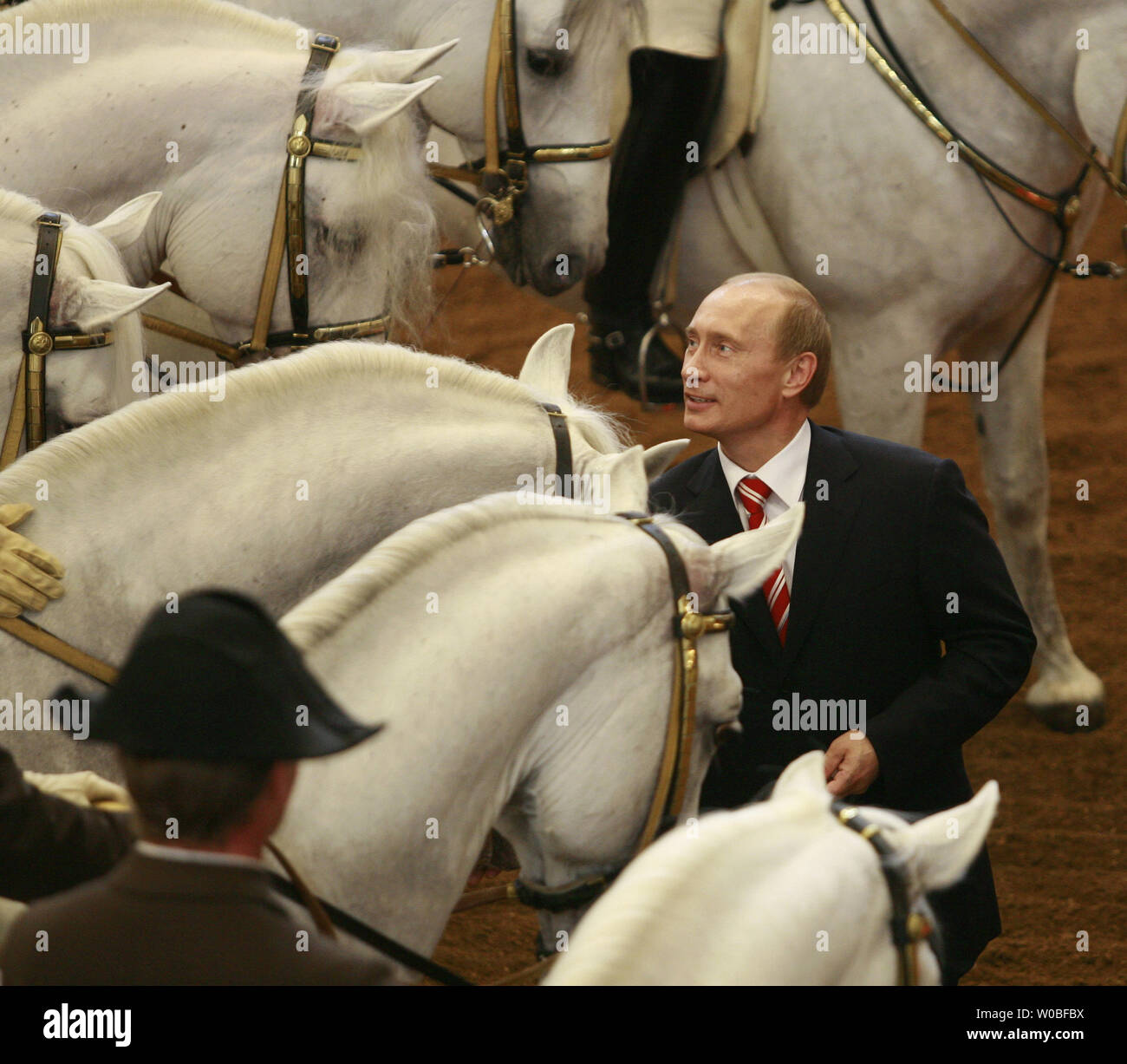 Putin horses -Fotos und -Bildmaterial in hoher Auflösung – Alamy
