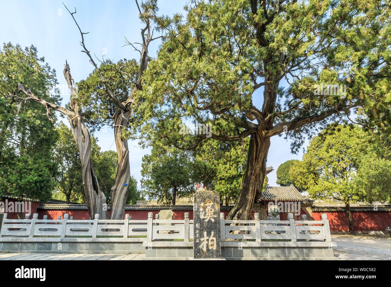 Dai han -Fotos und -Bildmaterial in hoher Auflösung – Alamy